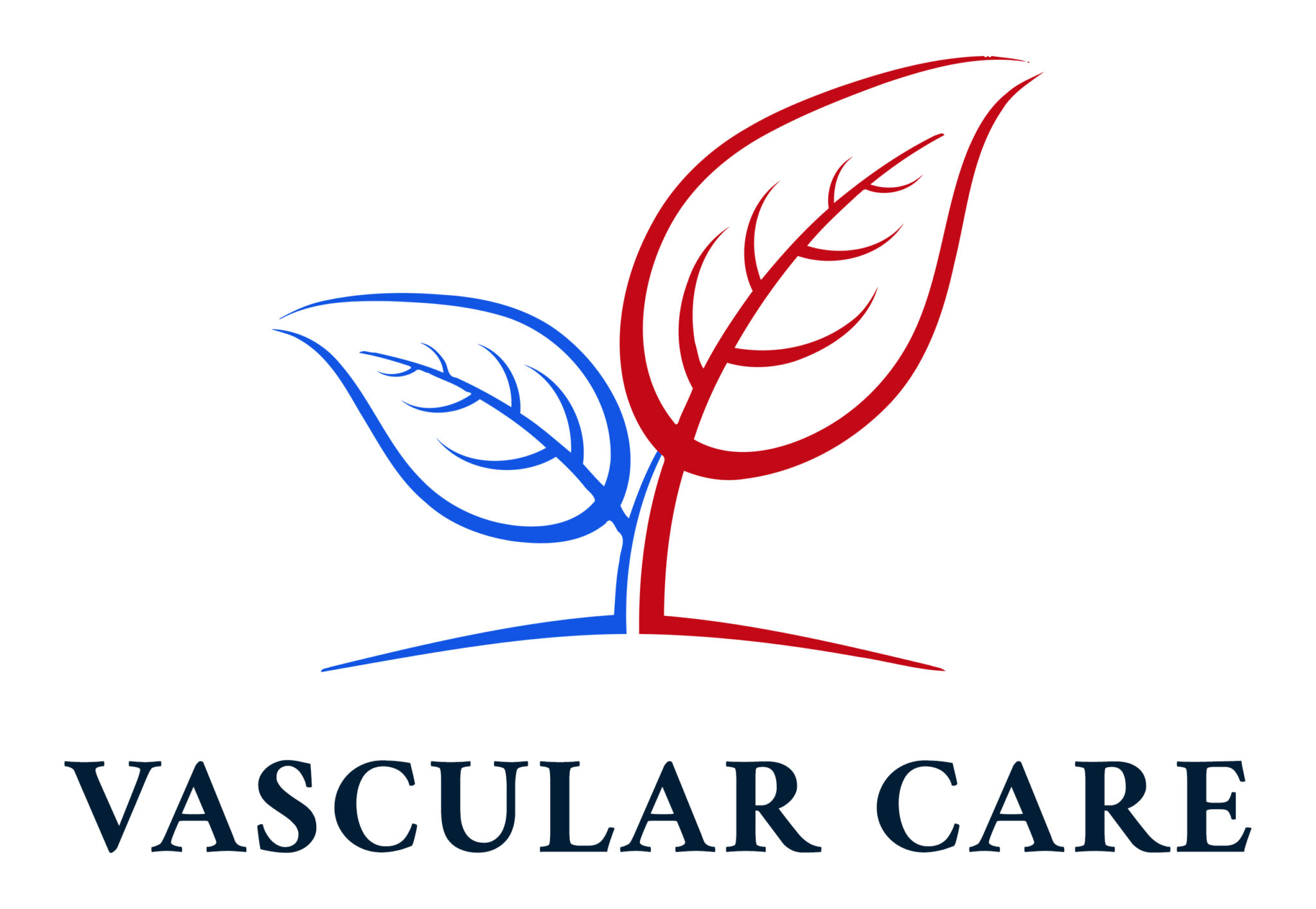 9 Early Signs of Vascular Disease to Know | Vascular Care